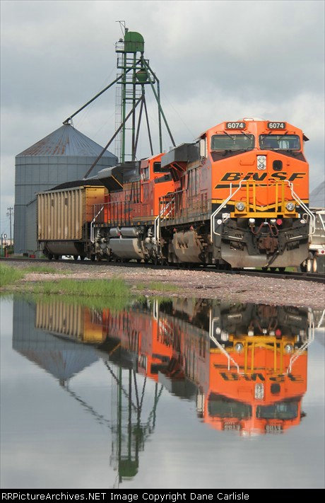 Reflections from a nights rain at